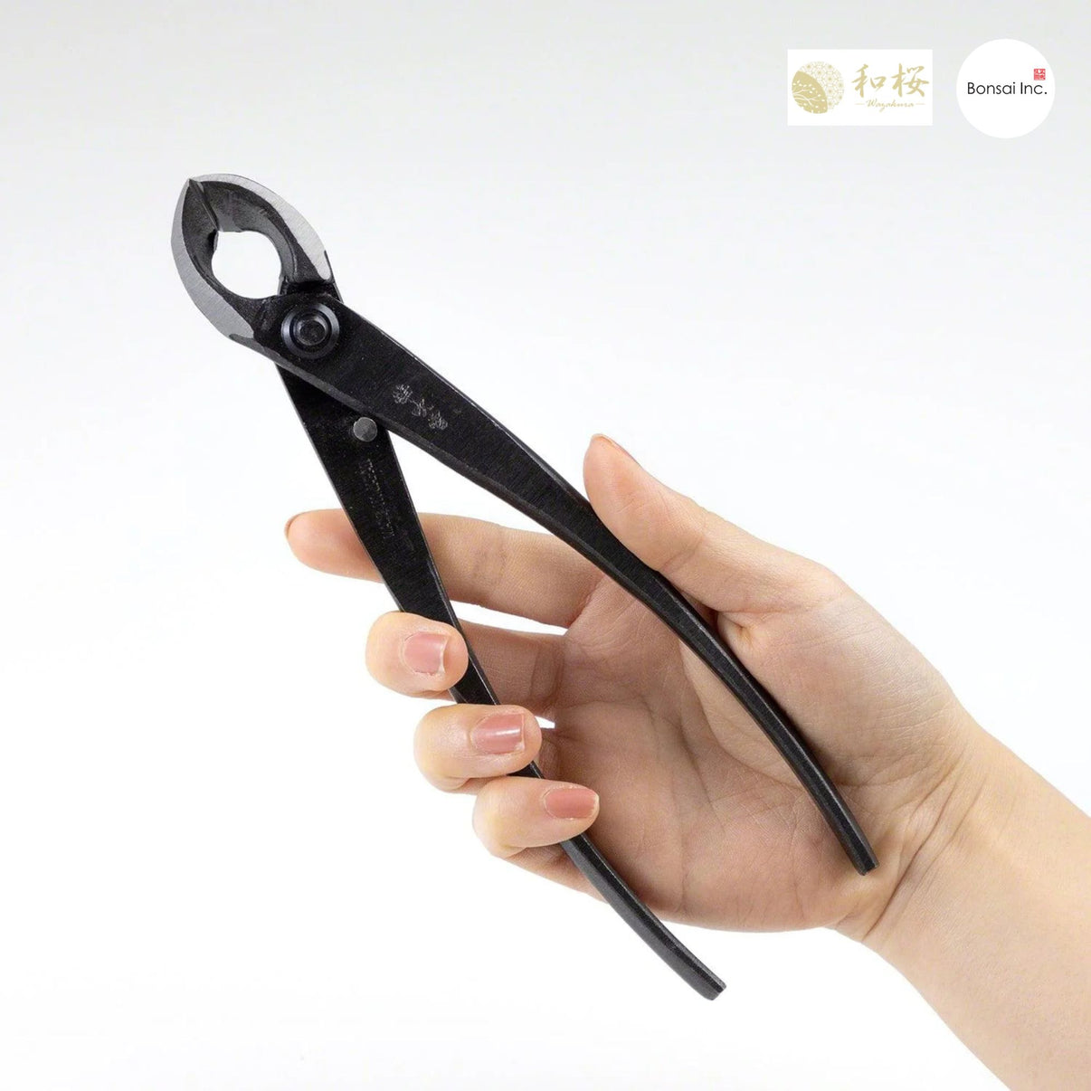 Wazakura (Japan) Hand Forged Bonsai Concave Branch Cutter 8"(200mm ...