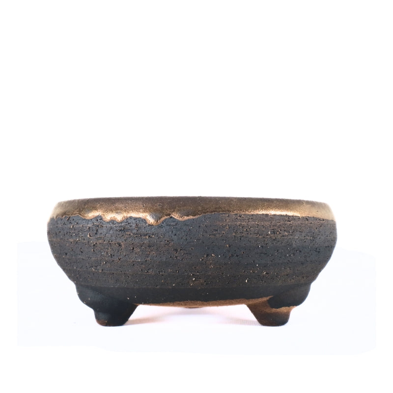 Premium Round Bonsai Pot – bonsai-inc
