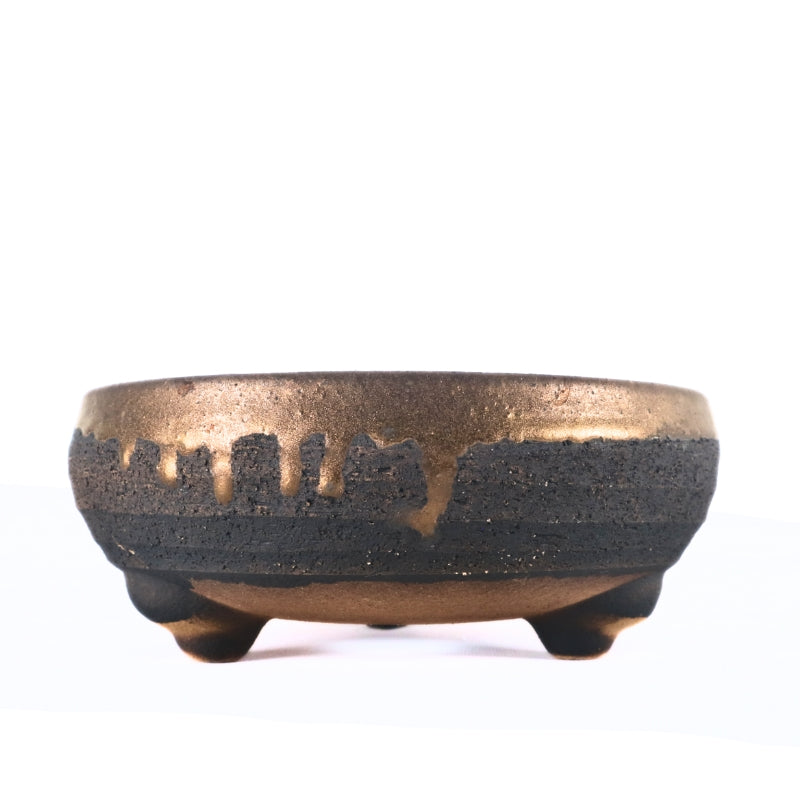 Premium Round Bonsai Pot – bonsai-inc